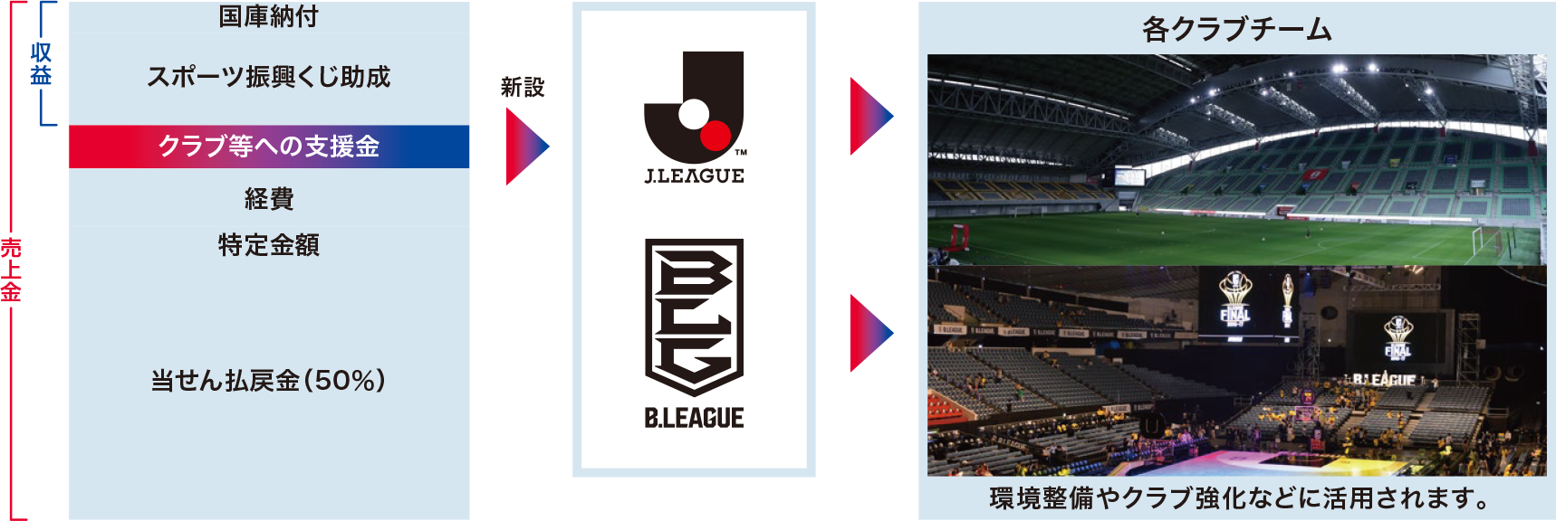 winner_club_pc | バスケットボールキング